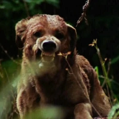 Mongrel | Villains Wiki | Fandom