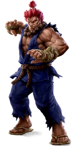 Akuma (Street Fighter)/Gallery | Villains Wiki | Fandom