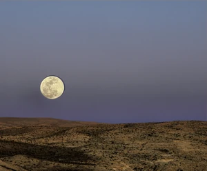 Black Moon | Villains Wiki | Fandom