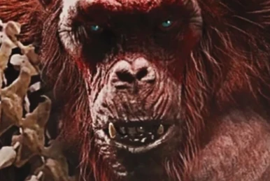 Rats De Laboratoire Ginny Gardner