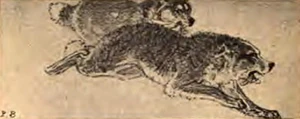 Spitz/Gallery | Villains Wiki | Fandom