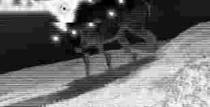 SCP-4971- | Villains Wiki | Fandom