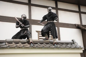 Stardust Ninja Dustards | Villains Wiki | Fandom