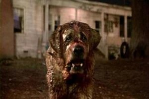 Cujo | Villains Wiki | Fandom