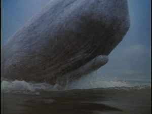 Moby Dick | Villains Wiki | Fandom