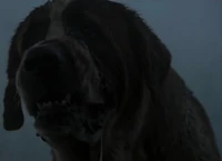User blog:BrutalBear98/Malevolent Dogs | Villains Wiki | Fandom