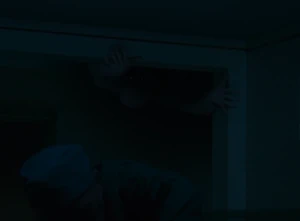 Mirror Demon (The Conjuring Universe) | Villains Wiki | Fandom