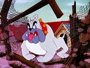 Butch the Bulldog | Villains Wiki | Fandom