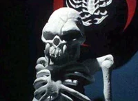 Great Leader of Destron | Villains Wiki | Fandom