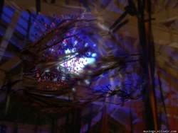 Kal (Halloweentown) | Villains Wiki | Fandom