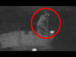 The Rake Everymanhybrid