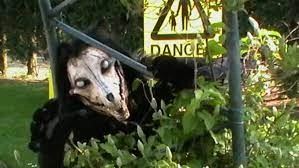 SCP-1471-A/Gallery | Villains Wiki | Fandom