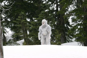 Yeti (Yeti: Curse of the Snow Demon) | Villains Wiki | Fandom