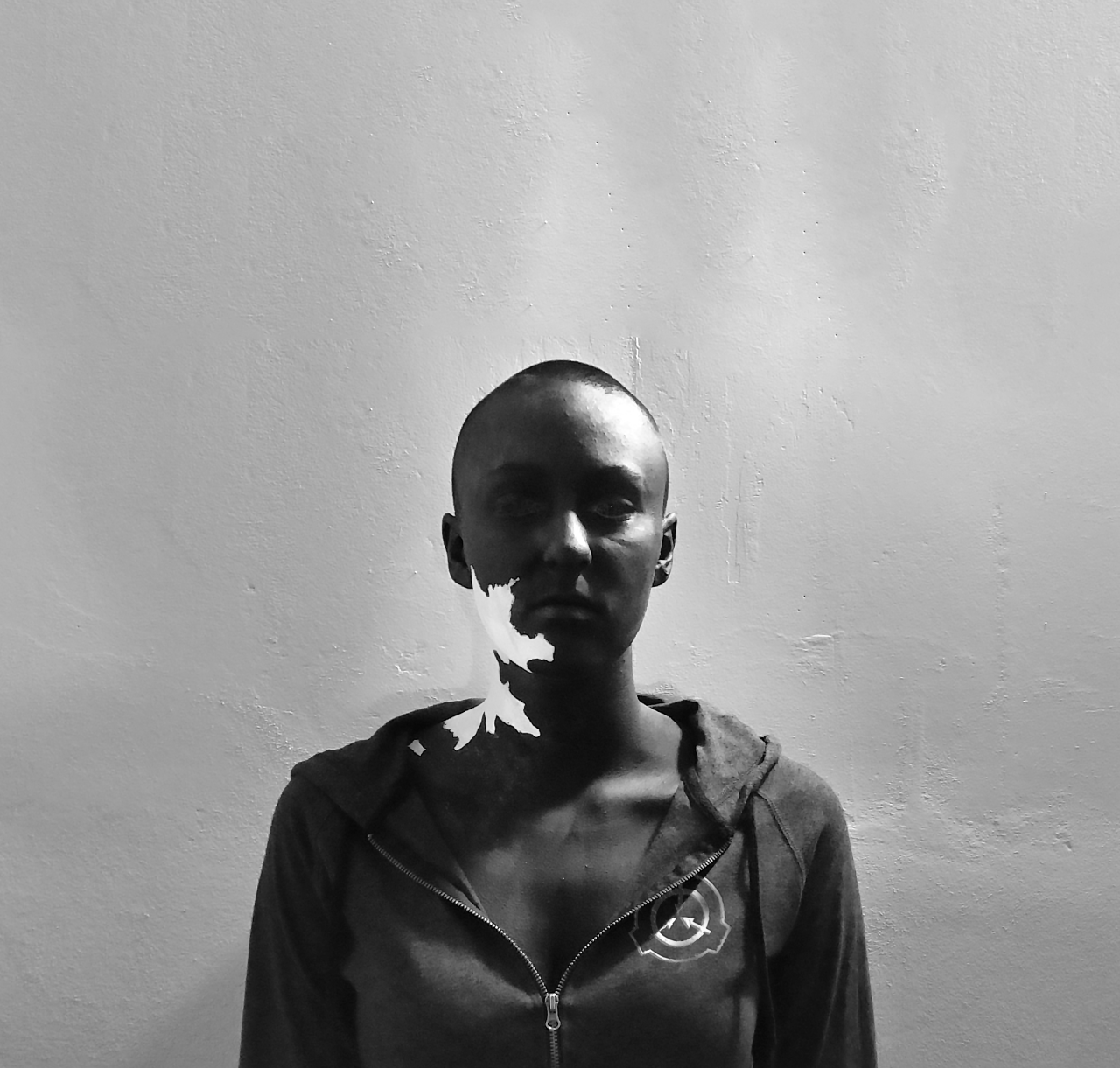 SCP-029 | Villains Wiki | Fandom