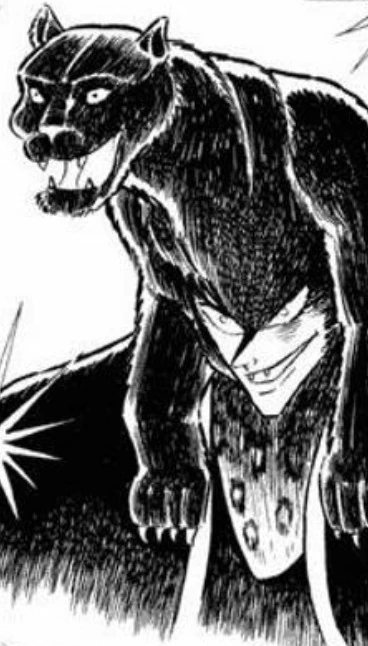 Panther Zora/Gallery | Villains Wiki | Fandom