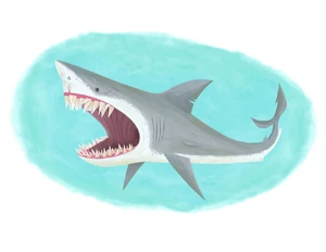 Shark (Madagascar) | Villains Wiki | Fandom