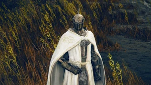 Needle Knight Leda | Villains Wiki | Fandom