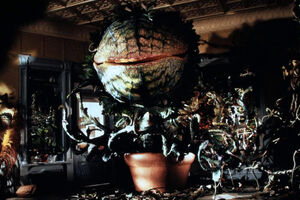 Audrey II/Gallery | Villains Wiki | Fandom