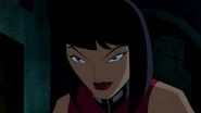 Madame Rouge (Teen Titans) | Villains Wiki | Fandom
