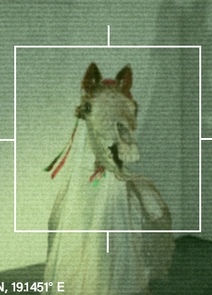 SCP-6596 | Villains Wiki | Fandom