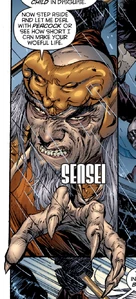 Sensei (DC) | Villains Wiki | Fandom