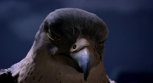 Falcon (Stuart Little)/Gallery | Villains Wiki | Fandom