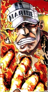 Akainu/Gallery | Villains Wiki | Fandom