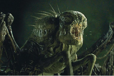 Maze Runner Movie Crank