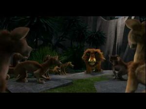 Fossas (Madagascar)/Gallery | Villains Wiki | Fandom