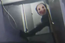 Elder Mimic (Terminal Rally) | Villains Wiki | Fandom