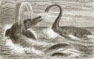 Sea Monsters (folklore) | Villains Wiki | Fandom