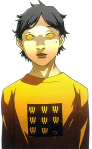 Shadows (Persona) | Villains Wiki | Fandom