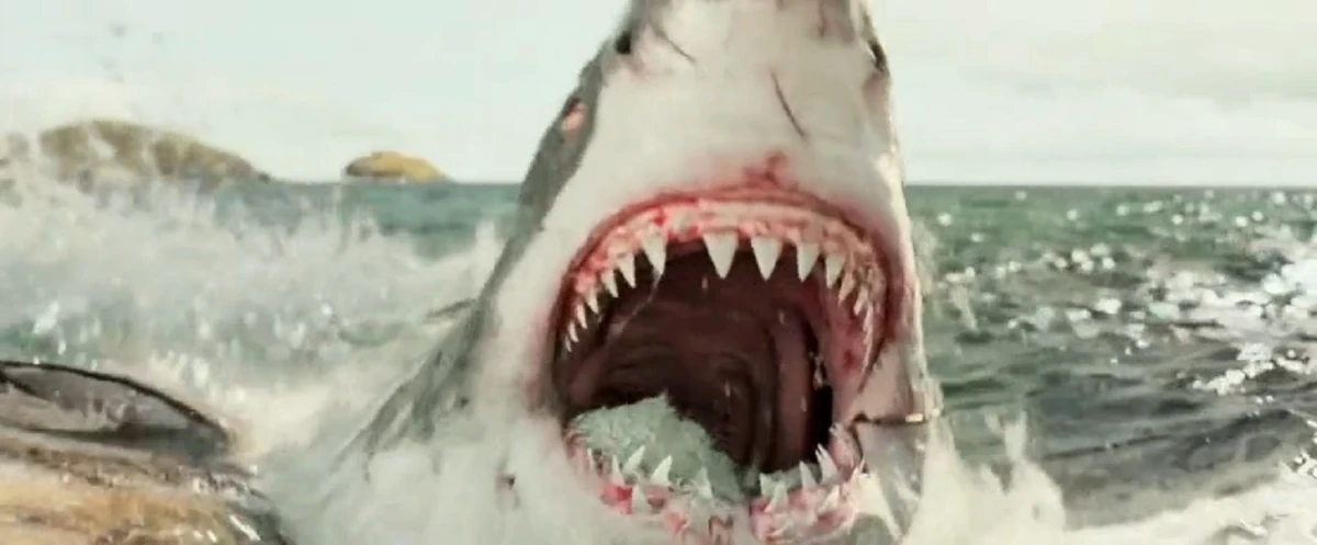 Great White Shark (The Shallows) | Villains Wiki | Fandom