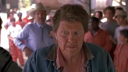 Holes Warden Scratches Mr Sir