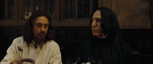 Severus Snape/Gallery | Villains Wiki | Fandom
