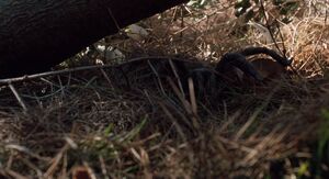 General Spider/Gallery | Villains Wiki | Fandom