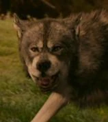 Vardan | Villains Wiki | Fandom