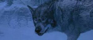 Jadis' Secret Police | Villains Wiki | Fandom