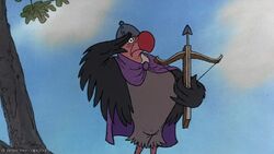 Robin Hood Vultures