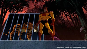 Catman | Villains Wiki | Fandom