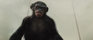 Koba (Planet of the Apes)/Gallery | Villains Wiki | Fandom