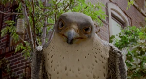 Falcon (Stuart Little)/Gallery | Villains Wiki | Fandom