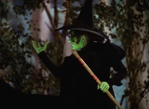Wicked Witch of the West (Warner Bros.)/Gallery | Villains Wiki | Fandom