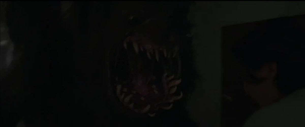 Chauncey the Bear/Gallery | Villains Wiki | Fandom