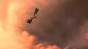 Winged Beast | Villains Wiki | Fandom