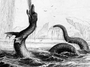 Sea Monsters (folklore) | Villains Wiki | Fandom