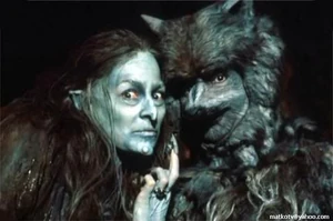 Hag & Werewolf | Villains Wiki | Fandom