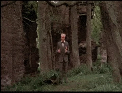 Monty Python Black Knight Gif