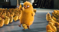 Hop Movie Chicken