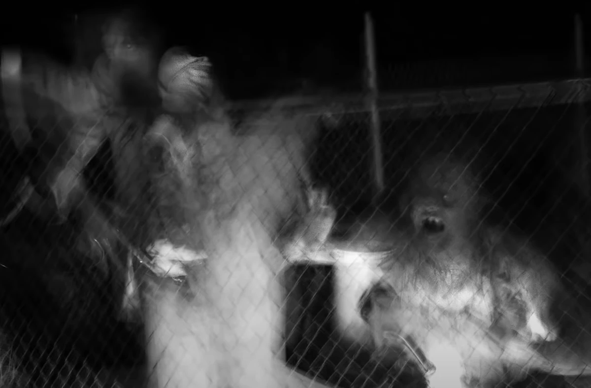 Zombies (Savageland) | Villains Wiki | Fandom